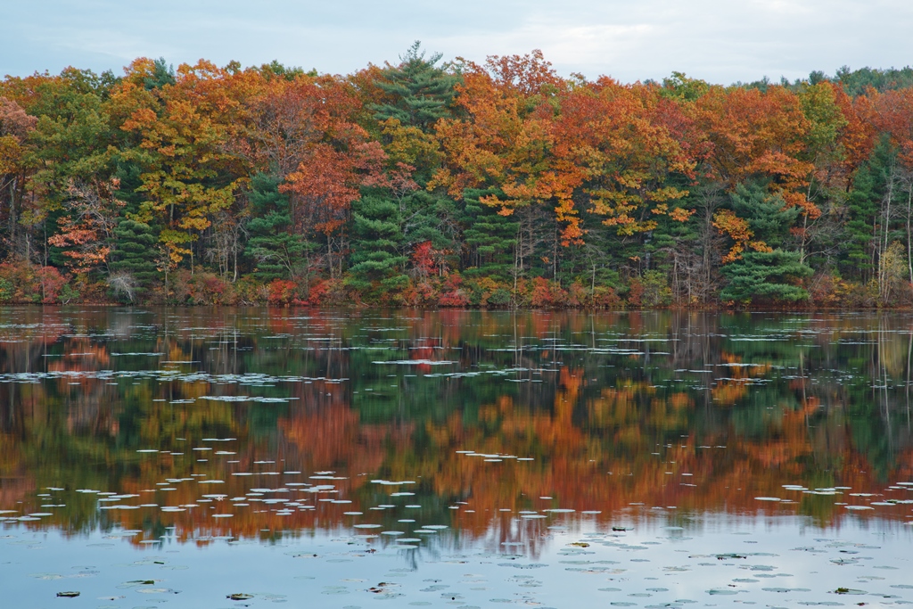 Moore State Park 1 - MassLandlords.net